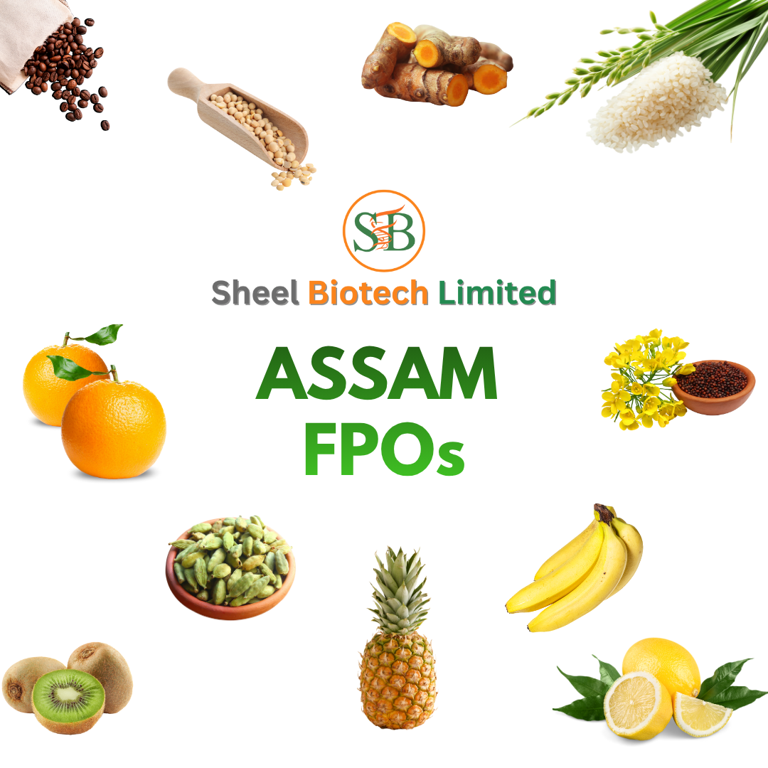 FPO Wise Products - Sheel Biotech